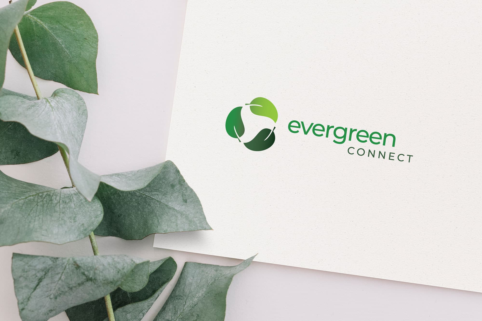 EvergreenConnect - Payneless Media